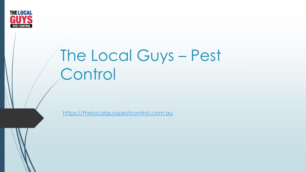 PPT - Termite Treatment Perth | Thelocalguyspestcontrol.com.au ...