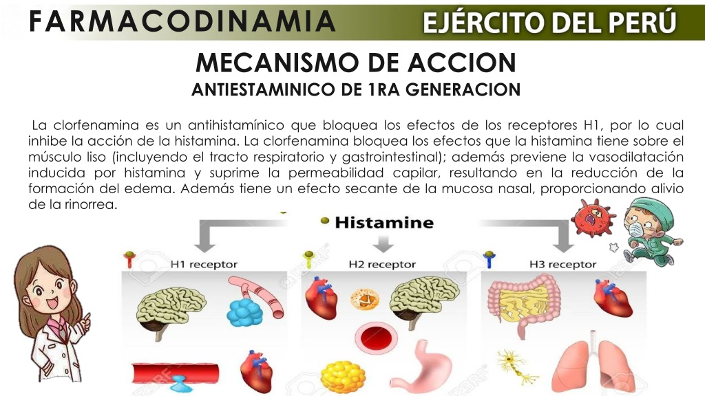 PPT - clorfenamina exp farmacologia PowerPoint Presentation, free ...