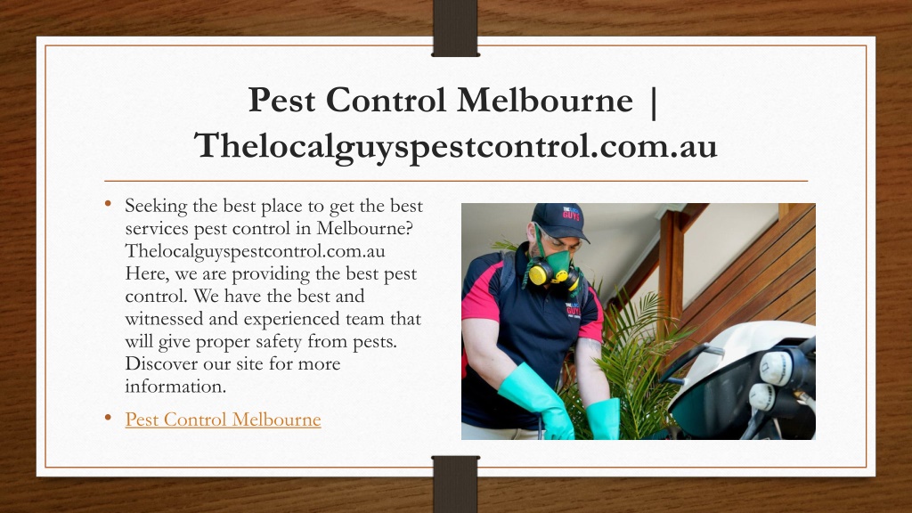 PPT - Pest Control Melbourne | Thelocalguyspestcontrol.com.au ...