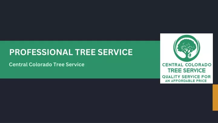 PPT - Professional Tree Service - Central Colorado Tree Service ...