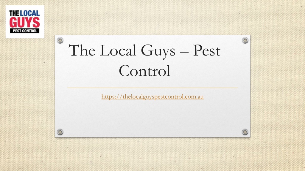 PPT - Pest Control Brisbane | Thelocalguyspestcontrol.com.au PowerPoint ...