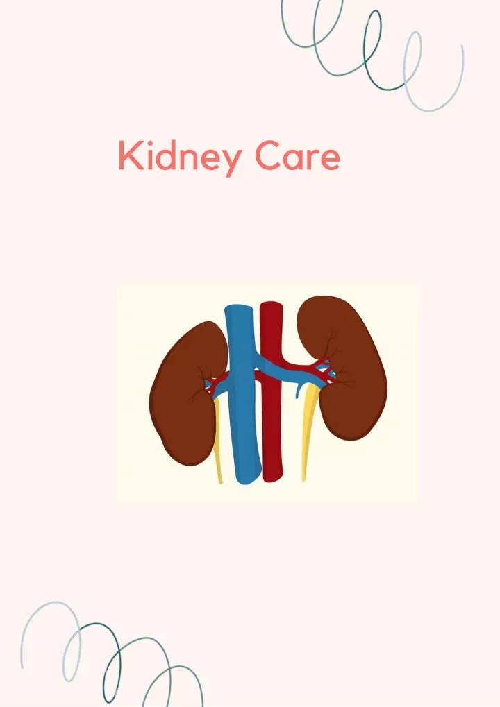 PPT - Kidney Care PowerPoint Presentation, free download - ID:11720977