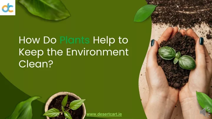 PPT - How Do Plants Help to Keep the Environment Clean PowerPoint ...