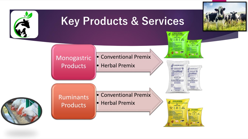 PPT - Animal Premix Feed Expoter in India by Dr Katre Premix Lab Pvt ...