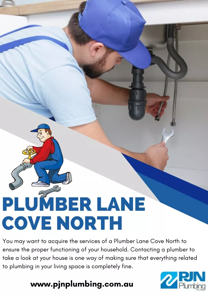 PPT - Plumber Lane Cove North PowerPoint Presentation, free download ...