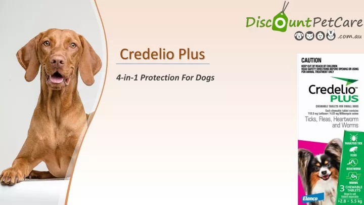 PPT - Buy Credelio Plus for Dogs | Flea & Tick Control ...