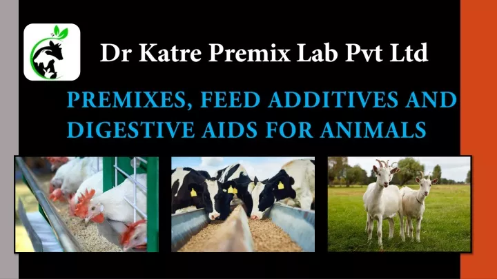 PPT - Premixes, feed additives and digestive aids for animals by Dr ...