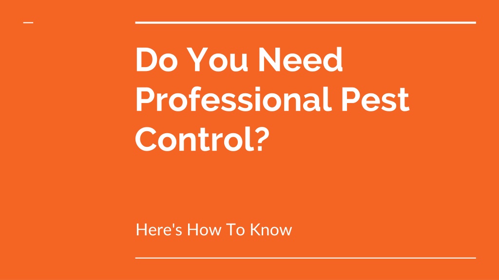 PPT - Pest Control Richmond PowerPoint Presentation, free download - ID ...