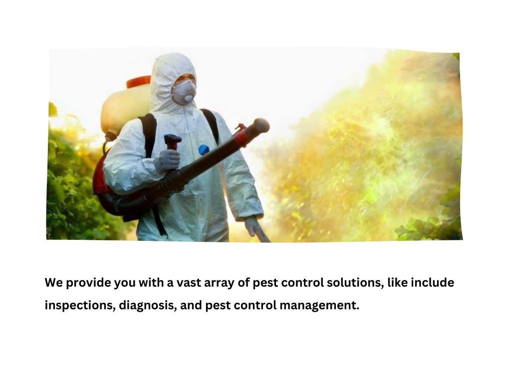 PPT - Why Should You Seriously Consider Pest Control in Brisbane ...