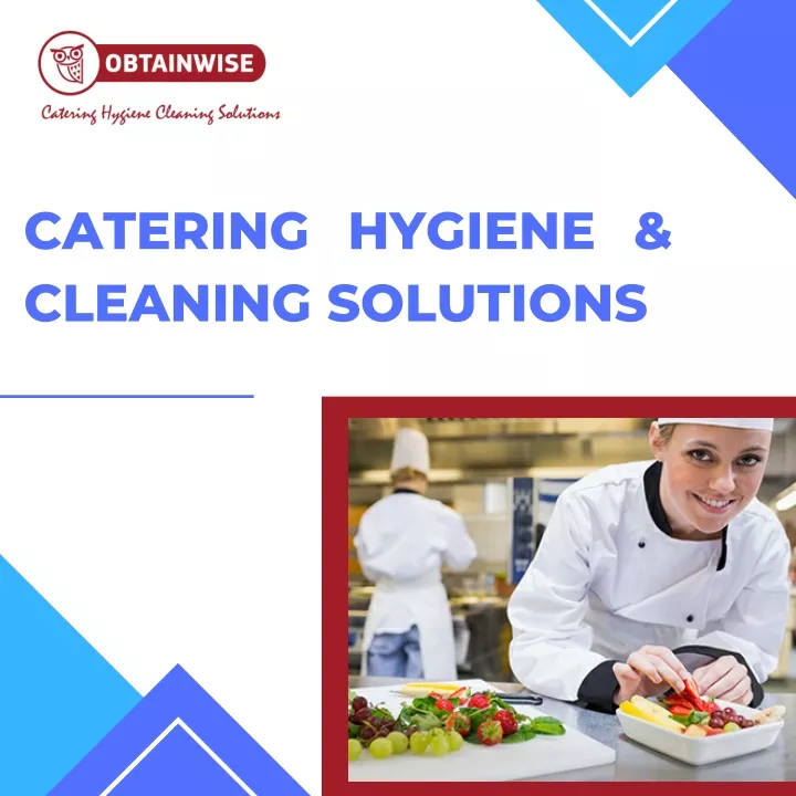 PPT - CATERING HYGIENE & CLEANING SOLUTIONS PowerPoint Presentation ...
