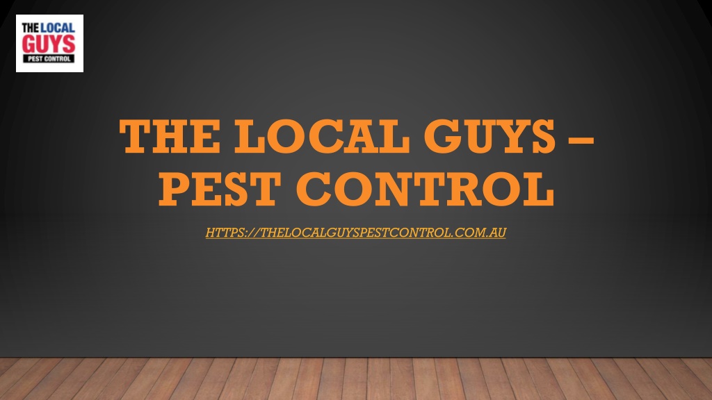 PPT - Termite Inspection Perth | Thelocalguyspestcontrol.com.au ...
