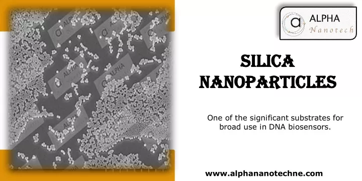 PPT - Silica Nanoparticles PowerPoint Presentation, free download - ID ...