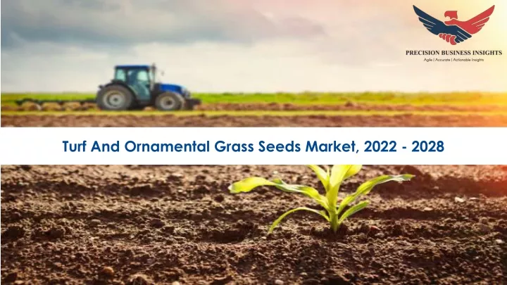 Ppt Turf And Ornamental Grass Seeds Market Research Report 2022 2028