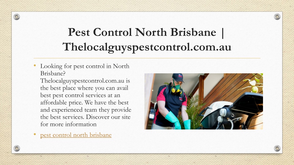 PPT - Pest Control North Brisbane | Thelocalguyspestcontrol.com.au ...