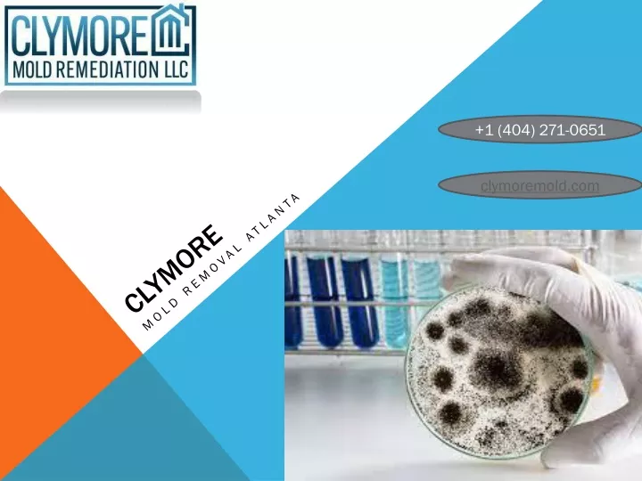 PPT - Clymore PowerPoint Presentation, free download - ID:11754294