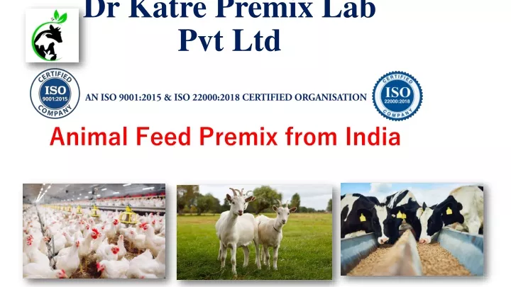 PPT - Animal Feed Premix from India PowerPoint Presentation, free ...