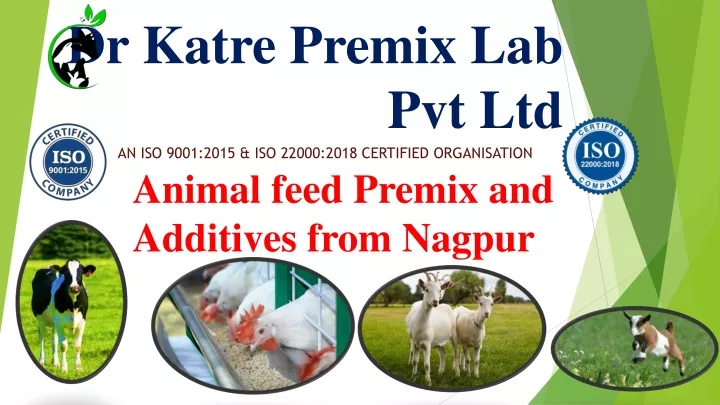 PPT - Animal feed Premix and Additives from Nagpur PowerPoint ...