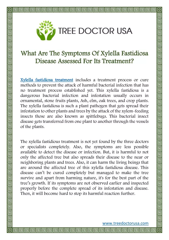 PPT - What Are The Symptoms Of Xylella Fastidiosa Disease Assessed For ...