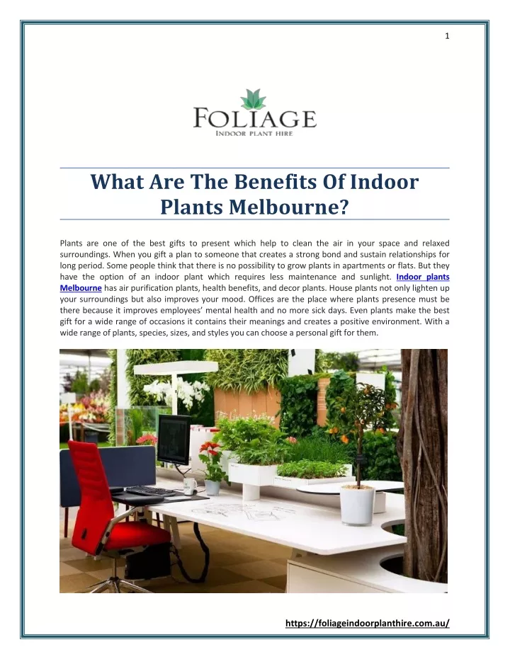 PPT - What Are The Benefits Of Indoor Plants Melbourne PowerPoint ...