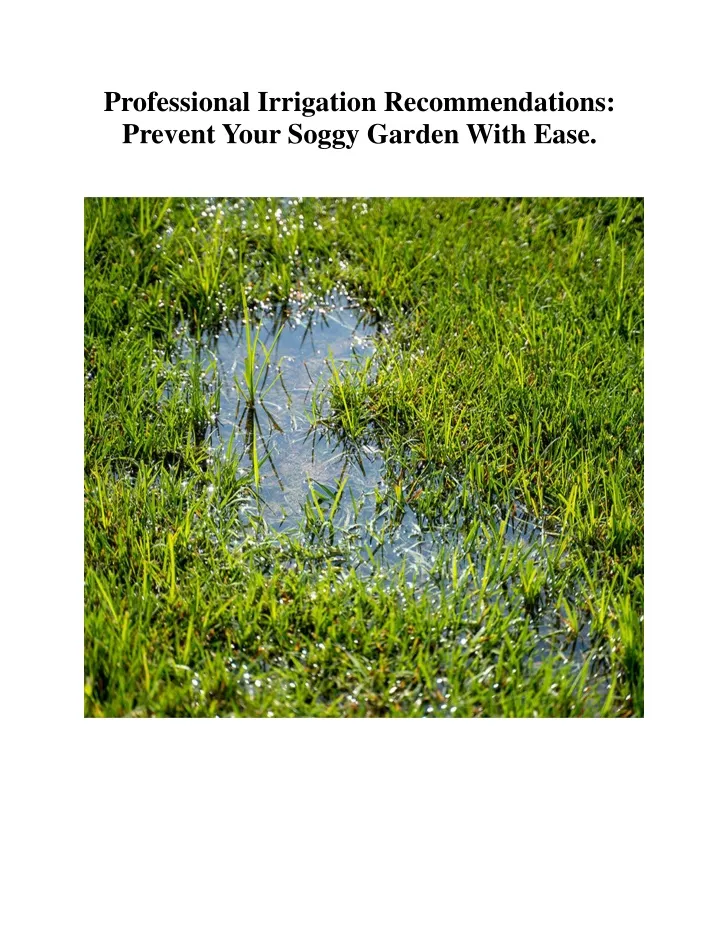 PPT - Professional Irrigation Recommendations, Prevent Your Soggy ...