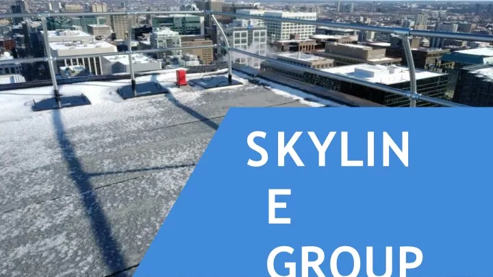 PPT - Skyline Group PowerPoint Presentation, free download - ID:11769932