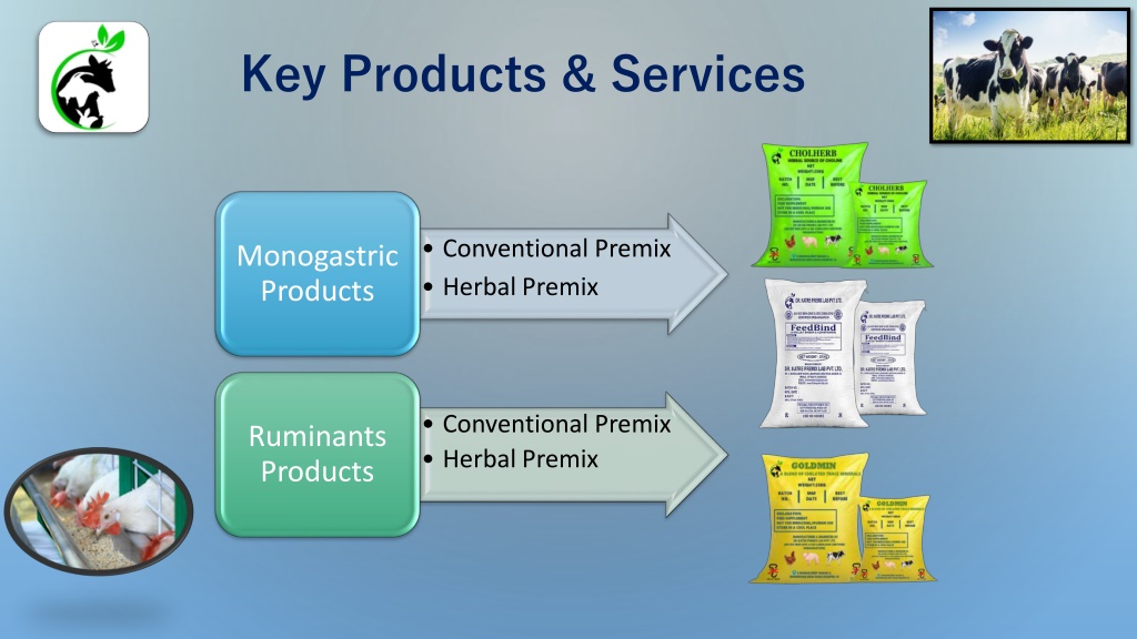PPT - Animal feed Premix Manufacturing from India PowerPoint ...