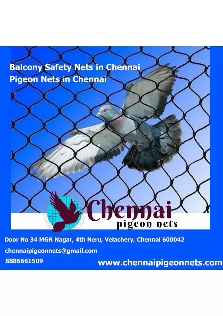 PPT - Balcony Safety Nets in Chennai PowerPoint Presentation, free ...
