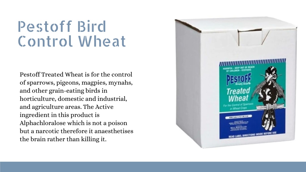 PPT - Best Repellents for Grain Eating Birds in NZ PowerPoint ...