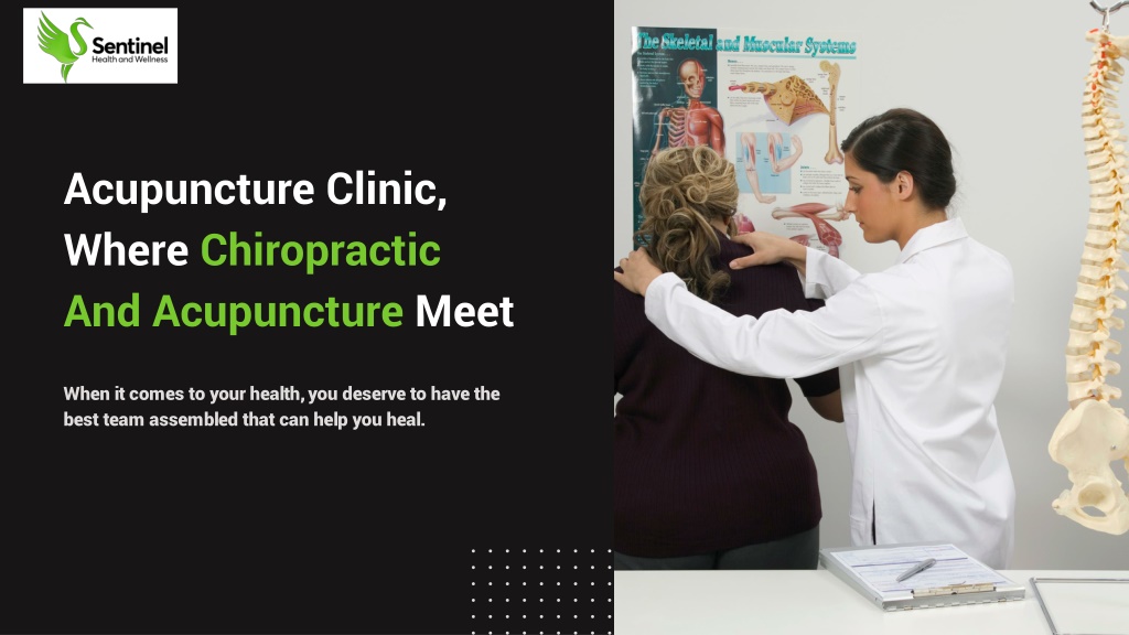 PPT - Acupuncture Clinic, Where Chiropractic And Acupuncture Meet ...