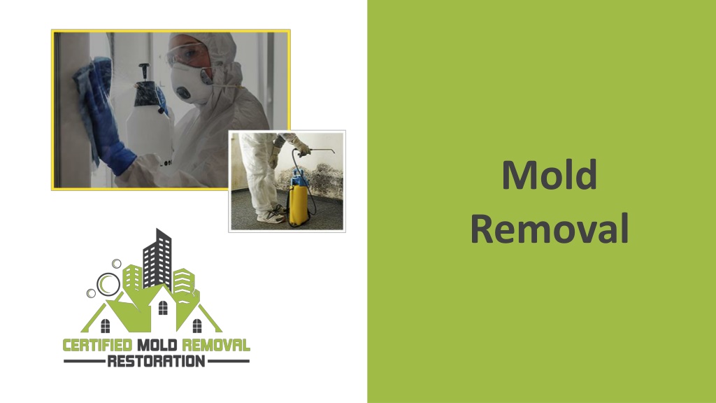 PPT - Water Damage - Certified Mold Removal Restoration PowerPoint ...
