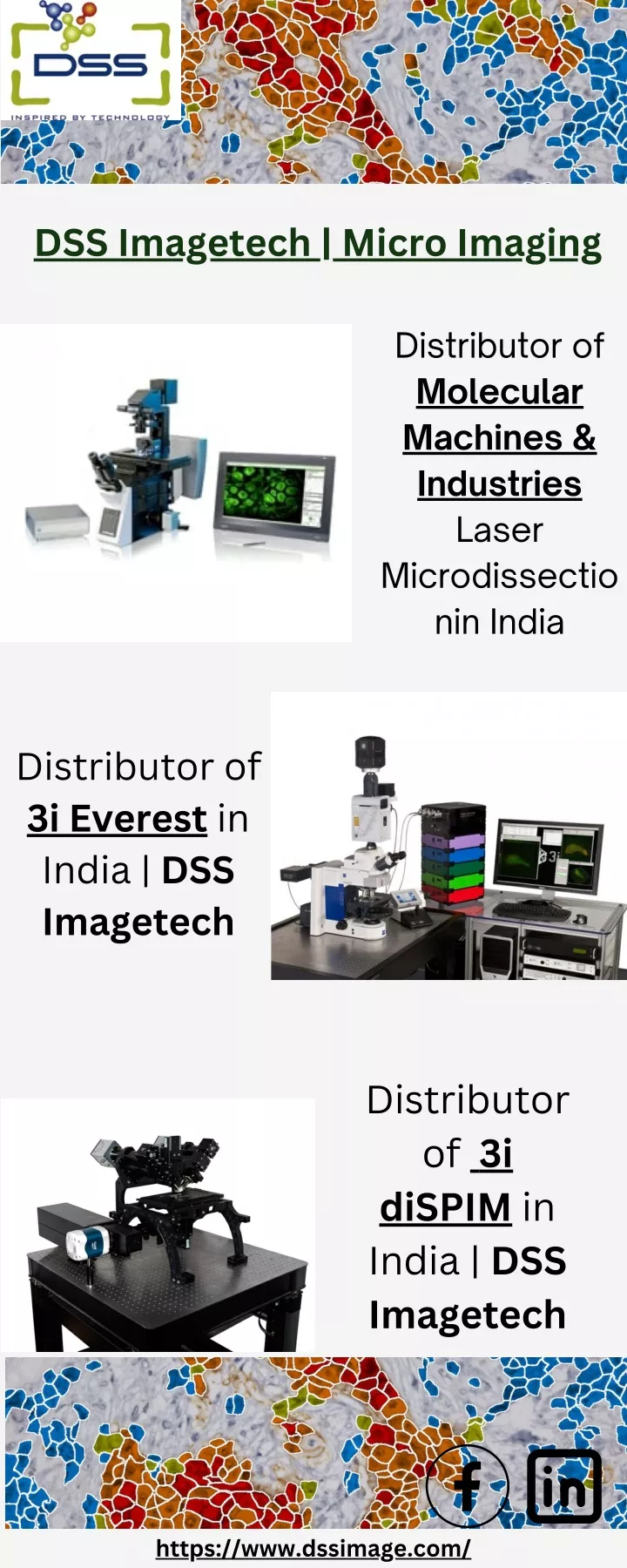 PPT - DSS Imagetech - The Best supplier of Micro Imaging in India ...