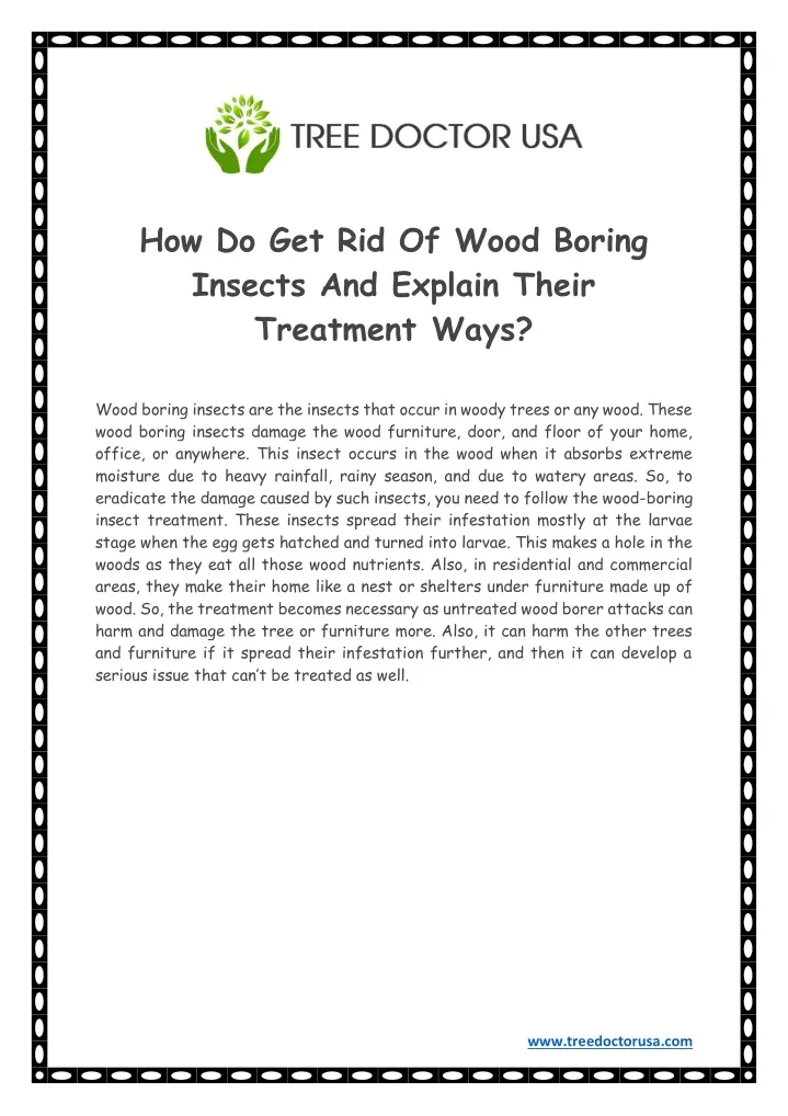 PPT - How do get rid of Wood Boring Insects and explain their Treatment ... PPT - How do get rid of Wood Boring Insects and explain their Treatment ...