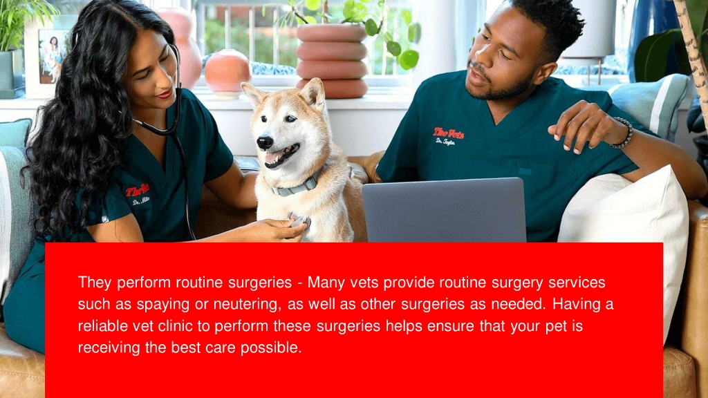 PPT - Mobile Vets PowerPoint Presentation, free download - ID:11788137
