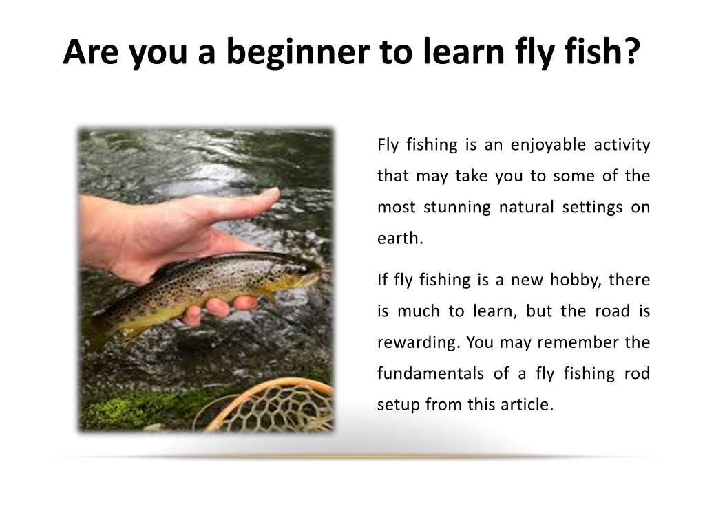 PPT - Learn to Fly Fish with These Best Beginner Fly Fishing Kits ...