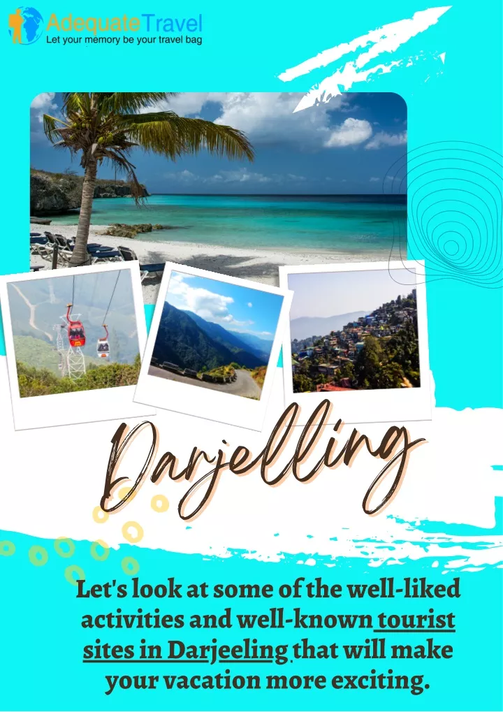 PPT - Plantation Flyer PowerPoint Presentation, free download - ID:11797573