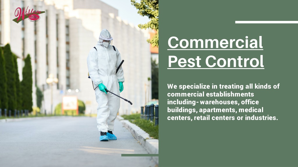 PPT - Professional Pest Control Services San Antonio PowerPoint ...