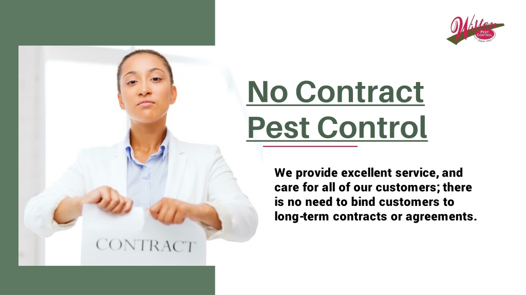 PPT - Professional Pest Control Services San Antonio PowerPoint ...