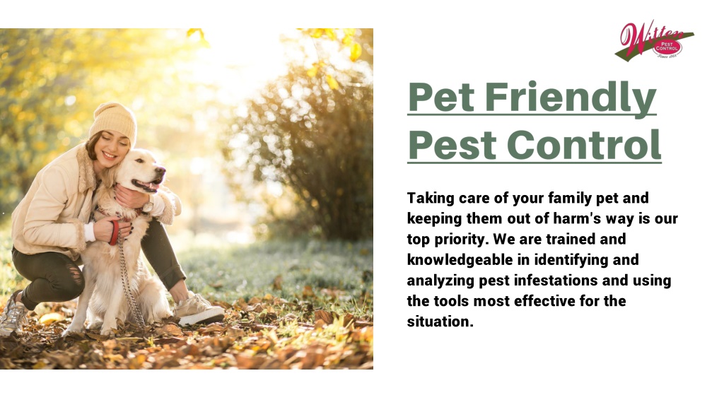 PPT - Professional Pest Control Services San Antonio PowerPoint ...
