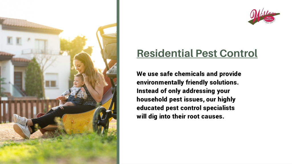 PPT - Professional Pest Control Services San Antonio PowerPoint ...