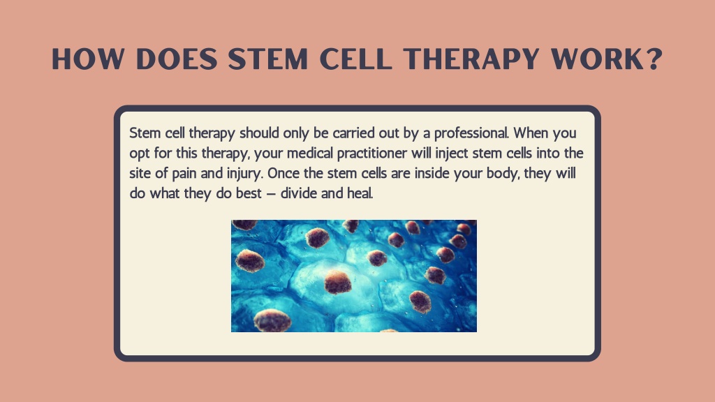 PPT - Stem Cell Doctor Tijuana, MX | Renovo Health and Beauty ...