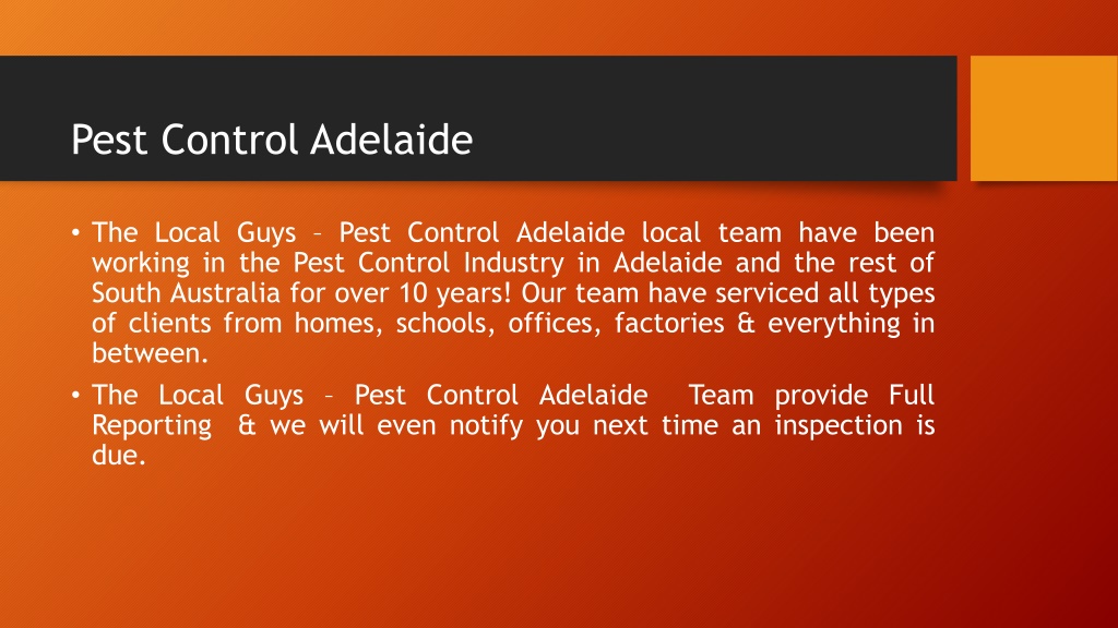 PPT - Pest Control Adelaide | Thelocalguyspestcontrol.com.au PowerPoint ...