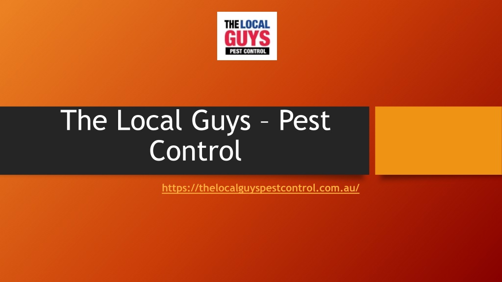 PPT - Pest Control Adelaide | Thelocalguyspestcontrol.com.au PowerPoint ...