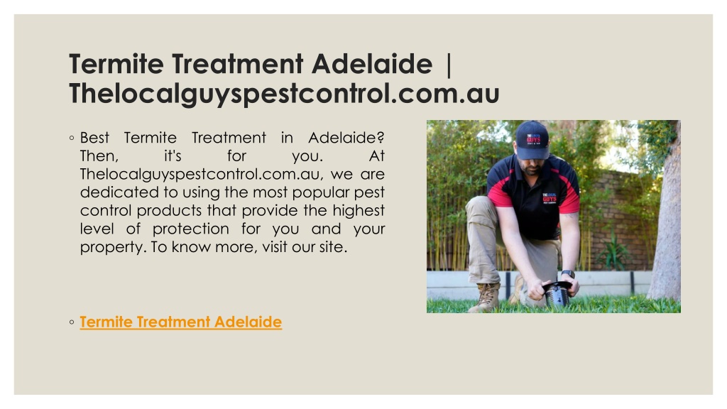 PPT - Termite Treatment Adelaide | Thelocalguyspestcontrol.com.au PowerPoint Presentation - ID ...