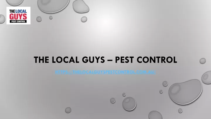 PPT - Pest Control North Brisbane | Thelocalguyspestcontrol.com.au ...