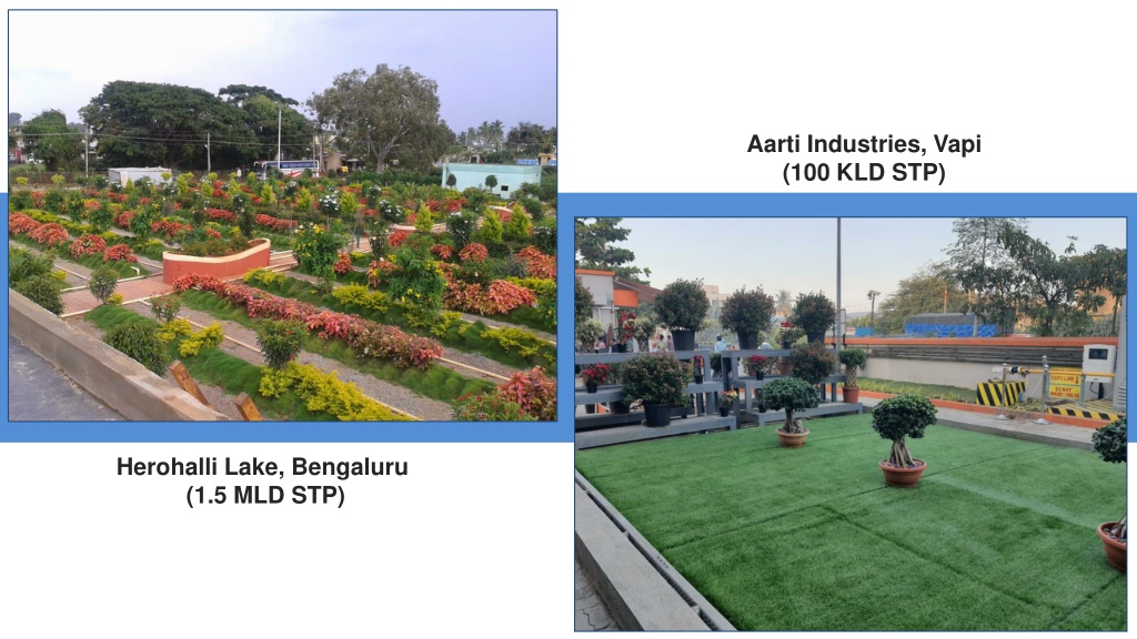 PPT - SOIL BIOTECHNOLOGY FOR SEWAGE TREATMENT PLANT (STP) PowerPoint ...