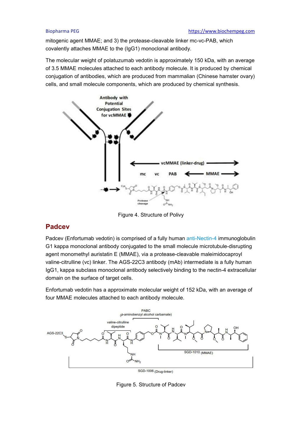 PPT - Antibody–Drug Conjugate Payloads MMAE & MMAF PowerPoint ...