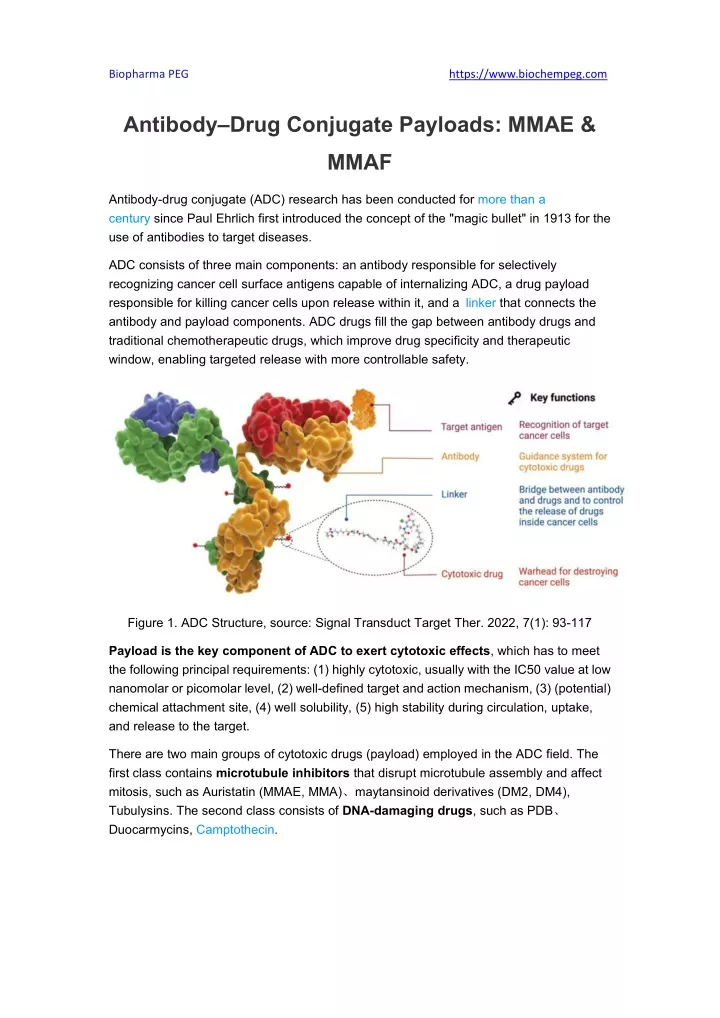 PPT - Antibody–Drug Conjugate Payloads MMAE & MMAF PowerPoint ...