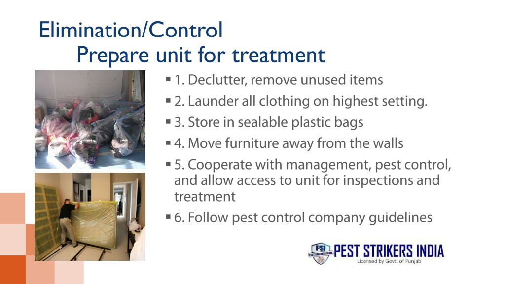 PPT - Bed Bugs Pest Control | Pest Strikers PowerPoint Presentation ...