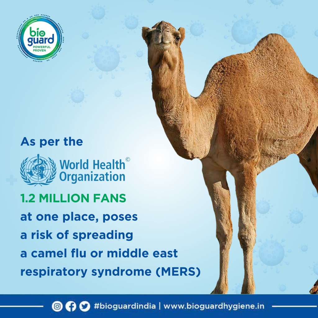 PPT - Effective Bioguard Disinfectants for Camel Flu PowerPoint ...
