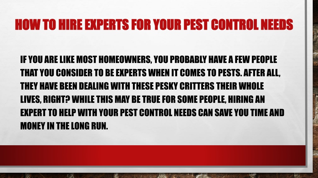 PPT - How To Hire Professionals For Your Pest Control PowerPoint ...